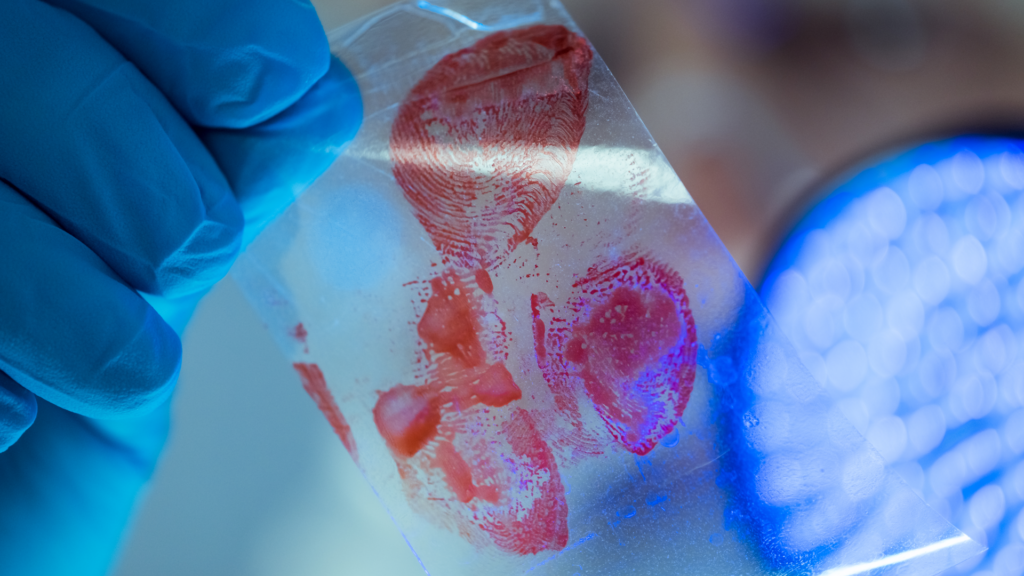 Fully Automated Dried Blood Spot Analysis in the Field of Forensic ...